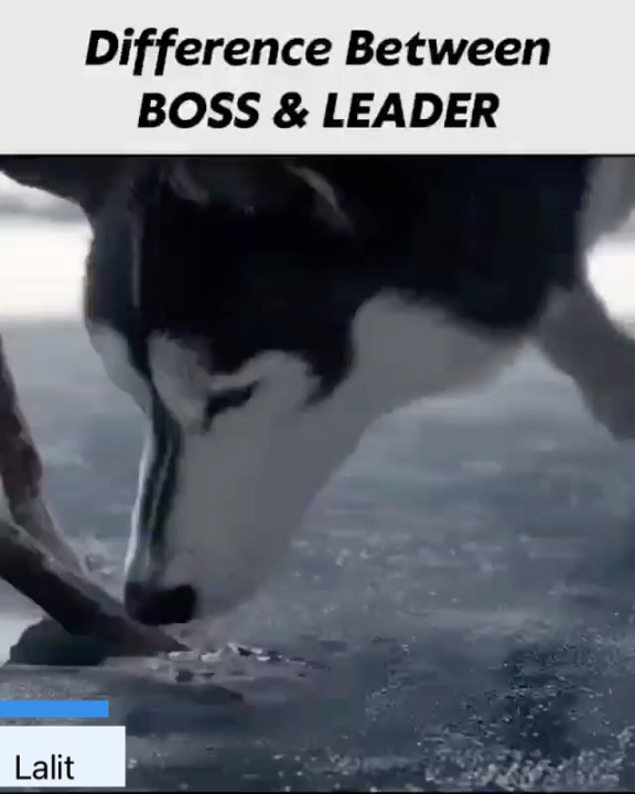 Kiran Patil on LinkedIn: Best one Kiran Patil on LinkedIn: Best one