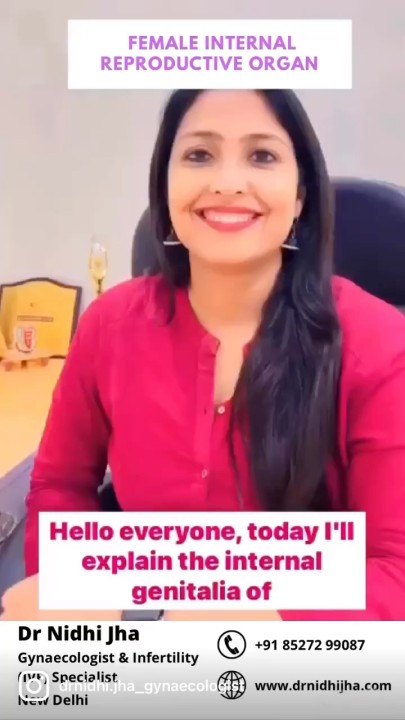 Dr Nidhi Jha on LinkedIn: #uterus #ovary #ovaries #fallopiantubes # ... Dr Nidhi Jha on LinkedIn: #uterus #ovary #ovaries #fallopiantubes # ...