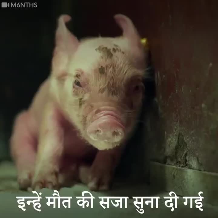 Ankit chaudhary posted on LinkedIn Ankit chaudhary posted on LinkedIn