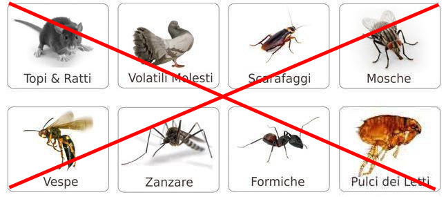Lotta ai parassiti nei locali che manipolano cibi | Chiara Scanga Lotta ai parassiti nei locali che manipolano cibi | Chiara Scanga