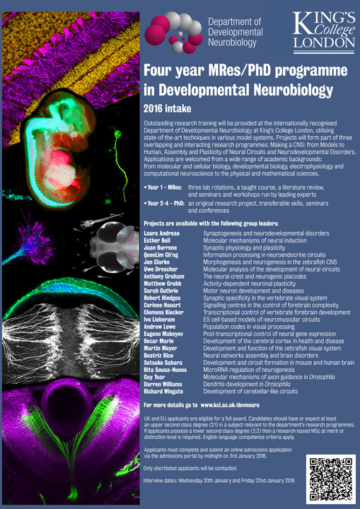 PhD studentships at the Department of Developmental Neurobiology, King ... PhD studentships at the Department of Developmental Neurobiology, King ...