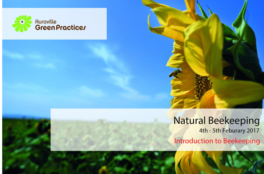 Natural Beekeeping Natural Beekeeping