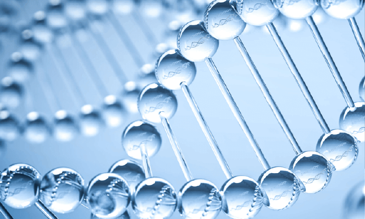 Identifying leaders in the Life Sciences sector Identifying leaders in the Life Sciences sector