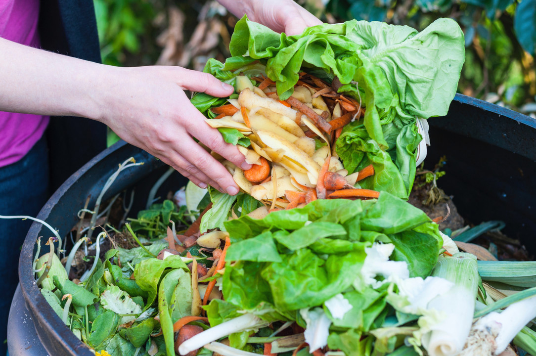 Reduce your household waste with a composter Reduce your household waste with a composter