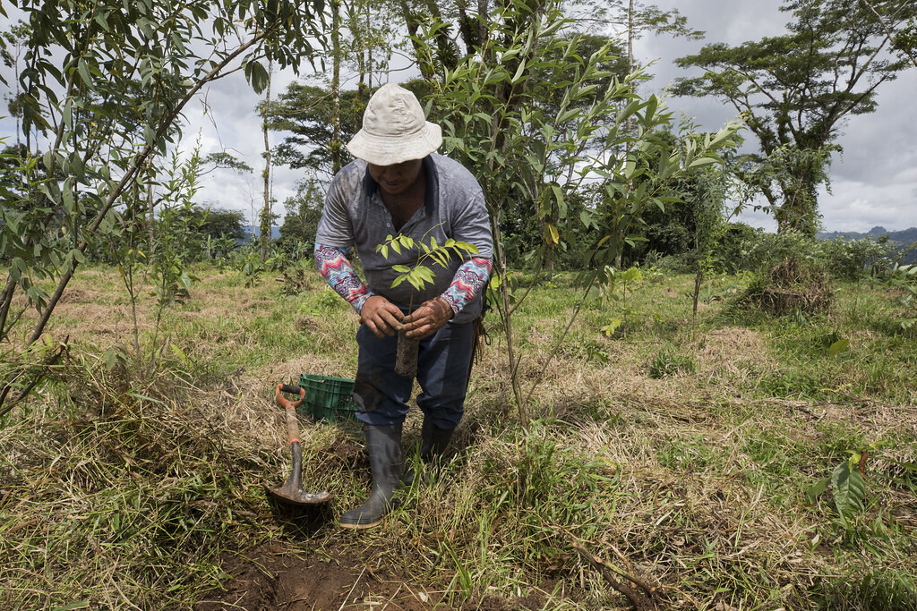 Nature-Based Solutions for Cities: Triple Dividends for Economies ... Nature-Based Solutions for Cities: Triple Dividends for Economies ...