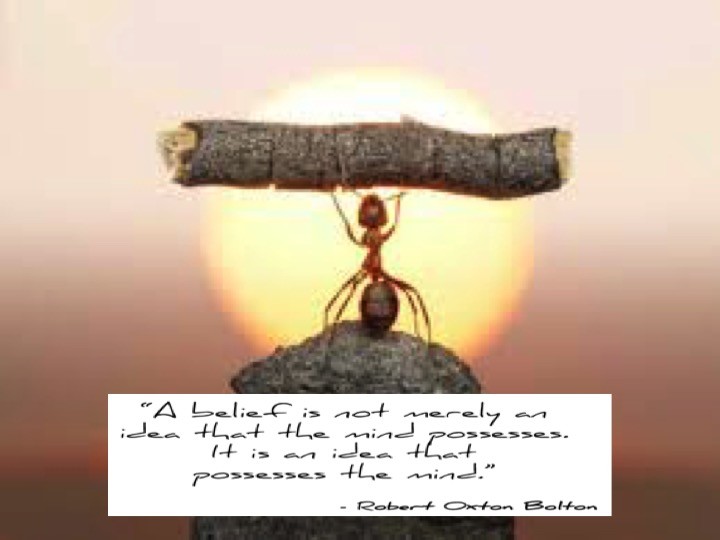 The Power of Belief | Wayne Donnelly The Power of Belief | Wayne Donnelly