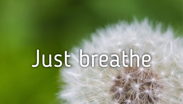 Conquer anxiety in 17 steps Conquer anxiety in 17 steps