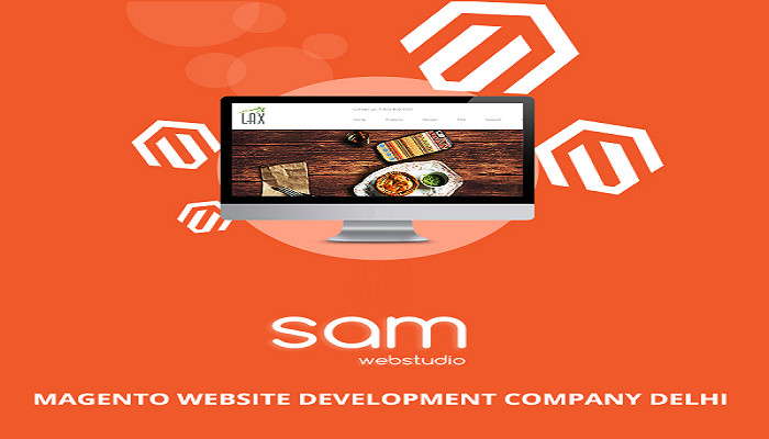Magento Ecommerce Store Development Company Delhi India Magento Ecommerce Store Development Company Delhi India