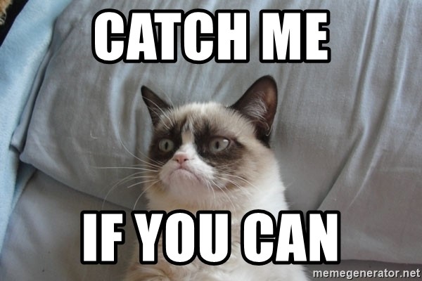 The catch in the rxjs catchError The catch in the rxjs catchError