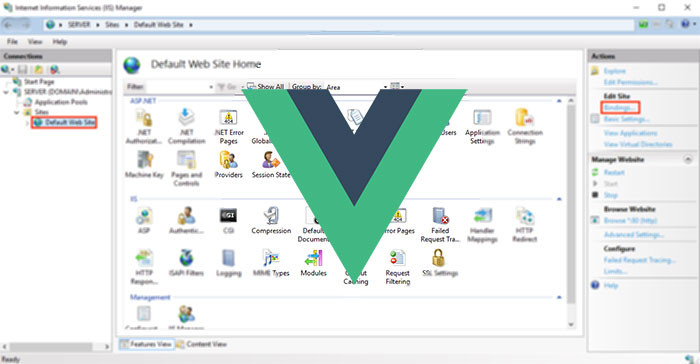 Hosting Vue JS SPA build on Microsoft IIS Hosting Vue JS SPA build on Microsoft IIS