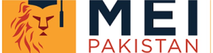 Syed Adnan Ali - Pakistan | Professional Profile | LinkedIn Syed Adnan Ali - Pakistan | Professional Profile | LinkedIn