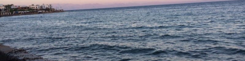 Omar Abd Elaziz - Frontend Developer - Freelance | LinkedIn Omar Abd Elaziz - Frontend Developer - Freelance | LinkedIn