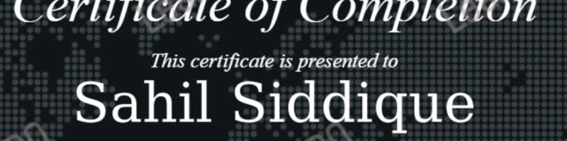 Sahil Siddique - DATA ANALYTICS AND BUSINESS ANALYTICS - Naresh i ... Sahil Siddique - DATA ANALYTICS AND BUSINESS ANALYTICS - Naresh i ...
