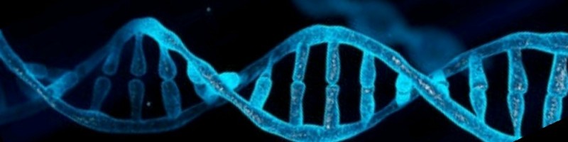 Aakash Soni - Botany Faculty - ALLEN Career Institute Pvt. Ltd. | LinkedIn Aakash Soni - Botany Faculty - ALLEN Career Institute Pvt. Ltd. | LinkedIn