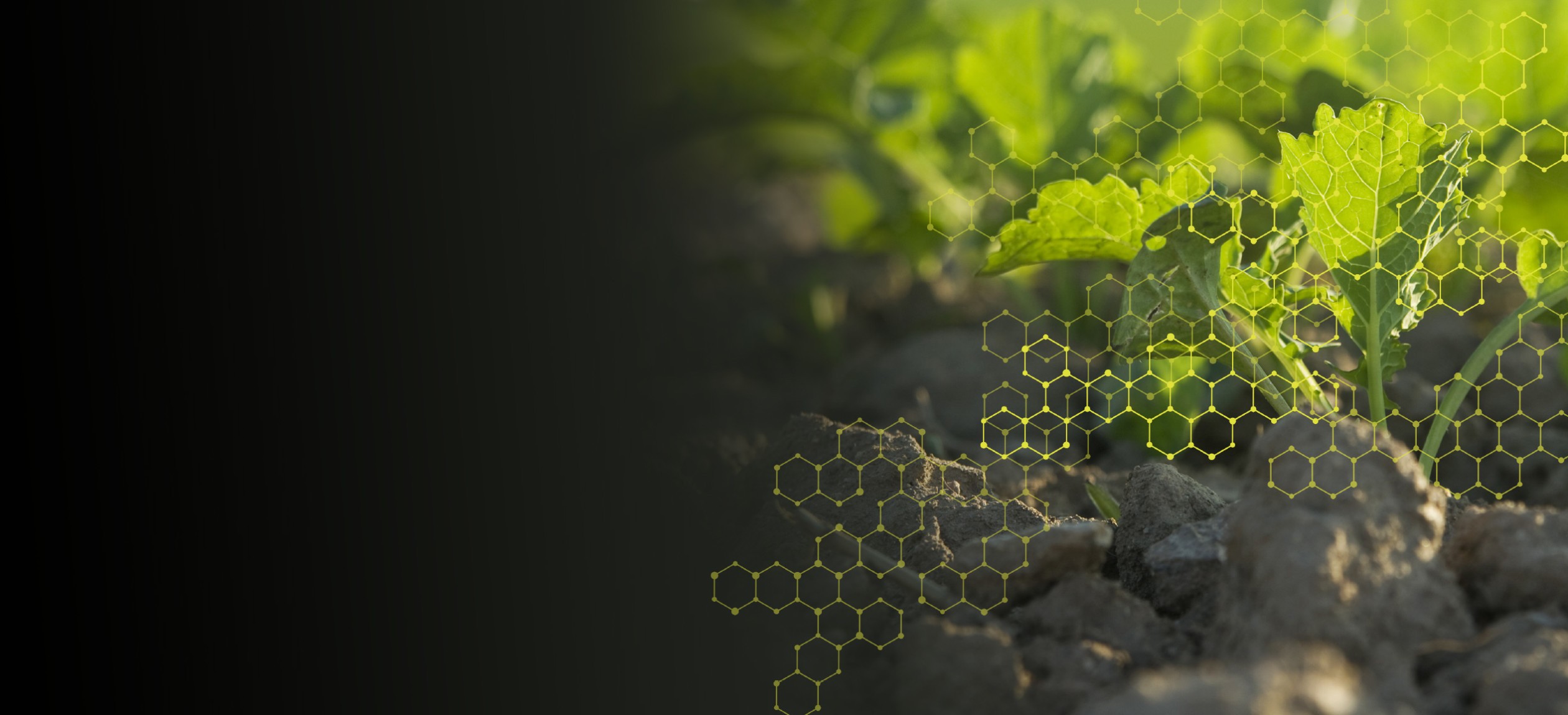Sultech Global Innovation Corp. on LinkedIn: COP28: Evaluating Climate ... Sultech Global Innovation Corp. on LinkedIn: COP28: Evaluating Climate ...