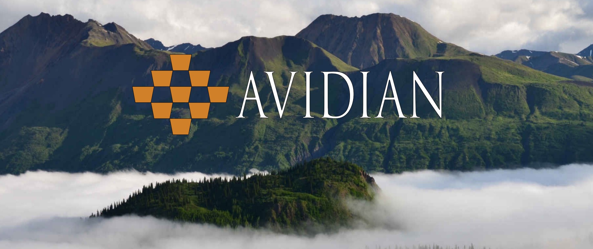 Avidian Gold (AVG-TSX.V) | LinkedIn Avidian Gold (AVG-TSX.V) | LinkedIn
