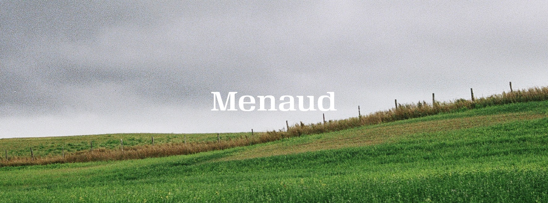 Menaud | LinkedIn Menaud | LinkedIn