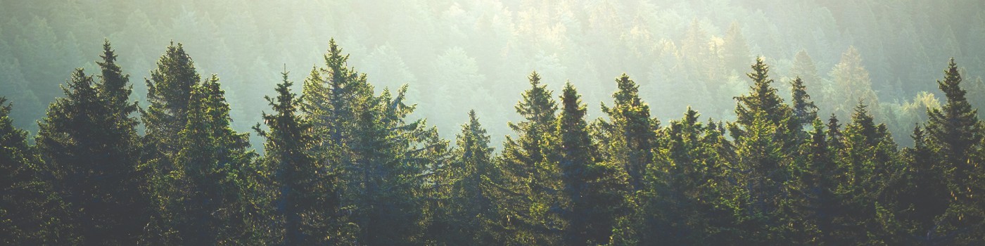 HIGHLAND Financial Advisors, LLC | LinkedIn HIGHLAND Financial Advisors, LLC | LinkedIn