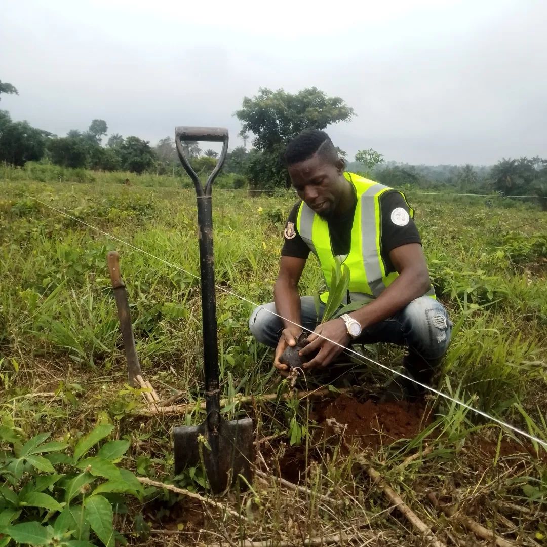 #agro #team #oilpalm | Ayobami AJAYI #agro #team #oilpalm | Ayobami AJAYI