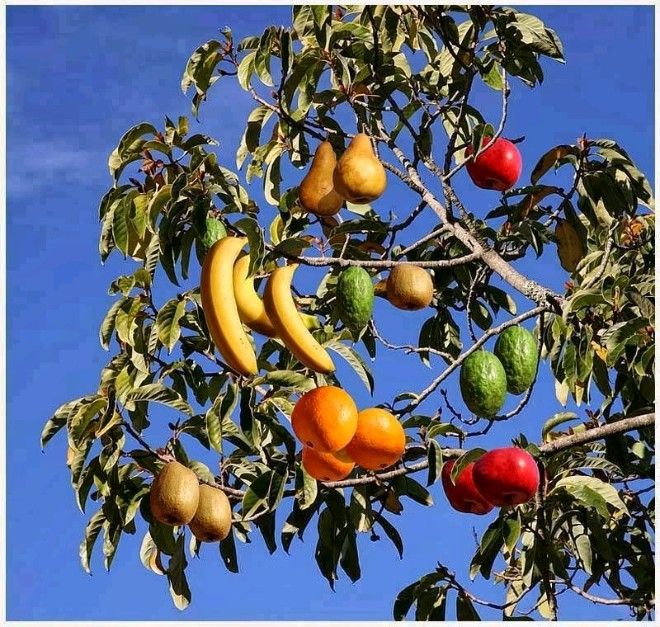 THANISH N on LinkedIn: 🤣🤣🤣🤣🤣 THANISH N on LinkedIn: 🤣🤣🤣🤣🤣