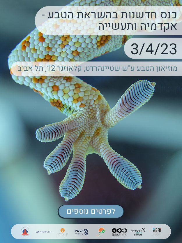 Mirit Sharabi, PhD on LinkedIn: #biomimicry Mirit Sharabi, PhD on LinkedIn: #biomimicry