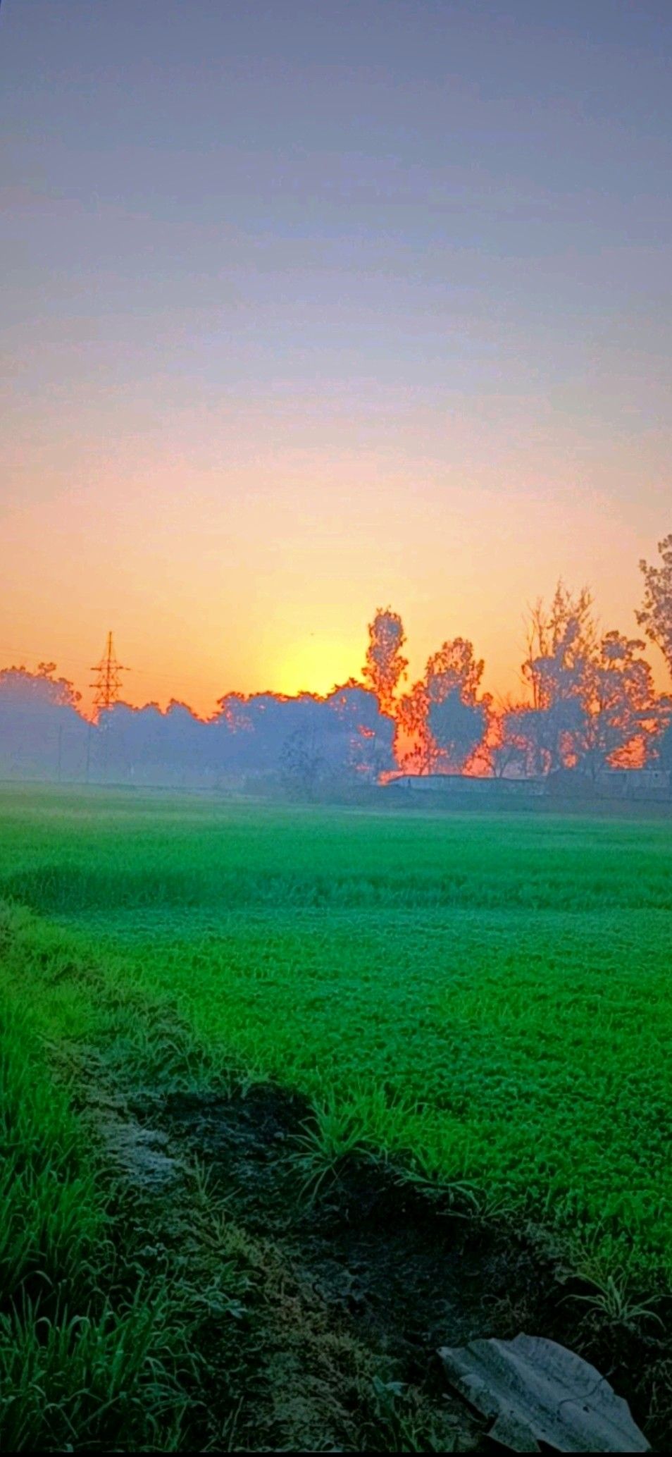 Utkarsh Pratap Singh on LinkedIn: #nature Utkarsh Pratap Singh on LinkedIn: #nature