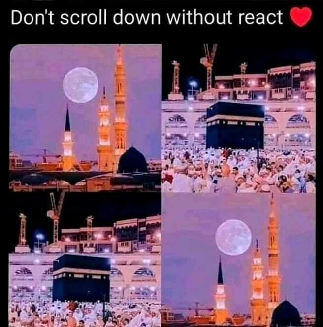 Muhammad Asghar Bhatti on LinkedIn: Don't scroll down without react ️ Muhammad Asghar Bhatti on LinkedIn: Don't scroll down without react ️