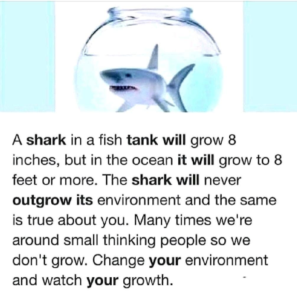 Deepinder Singh Walia posted on LinkedIn Deepinder Singh Walia posted on LinkedIn