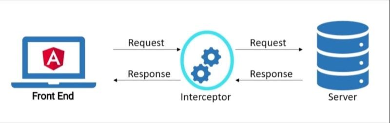 Shreyansh Jha در LinkedIn: #angulardeveloper #frontenddeveloper # ... Shreyansh Jha در LinkedIn: #angulardeveloper #frontenddeveloper # ...