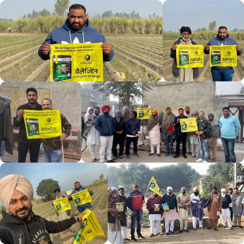 Harsh Vardhan Chauhan on LinkedIn: #velektin #lepidopteranpest #maize # ... Harsh Vardhan Chauhan on LinkedIn: #velektin #lepidopteranpest #maize # ...