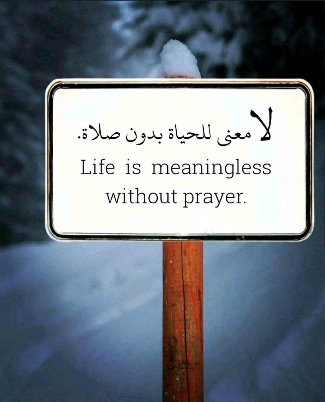 Eman Mohamed on LinkedIn: ♥️♥️ Eman Mohamed on LinkedIn: ♥️♥️