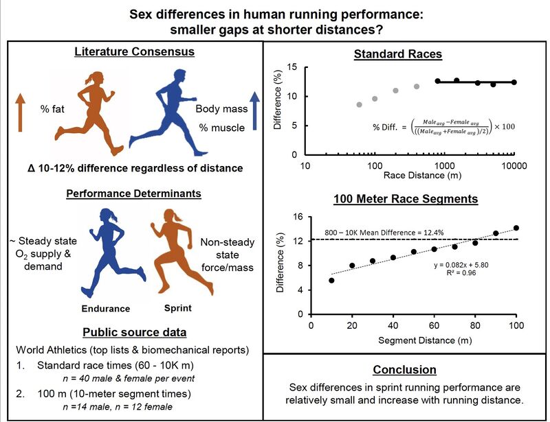 Altamiro Bottino on LinkedIn: Yes, men run faster than women, but over ... Altamiro Bottino on LinkedIn: Yes, men run faster than women, but over ...