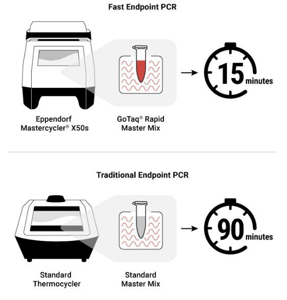 Promega UK on LinkedIn: #labwork #labchat #pcr Promega UK on LinkedIn: #labwork #labchat #pcr