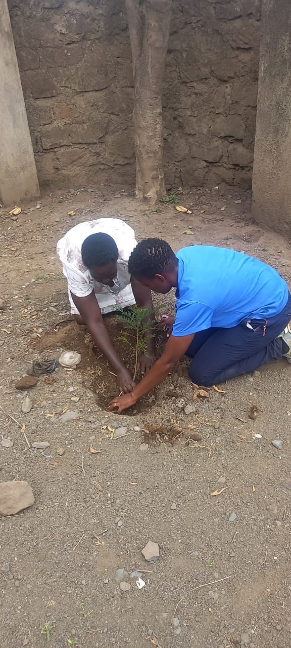 Odongo Moses on LinkedIn: Talk to save youth C.B.O in Nakuru planting ... Odongo Moses on LinkedIn: Talk to save youth C.B.O in Nakuru planting ...
