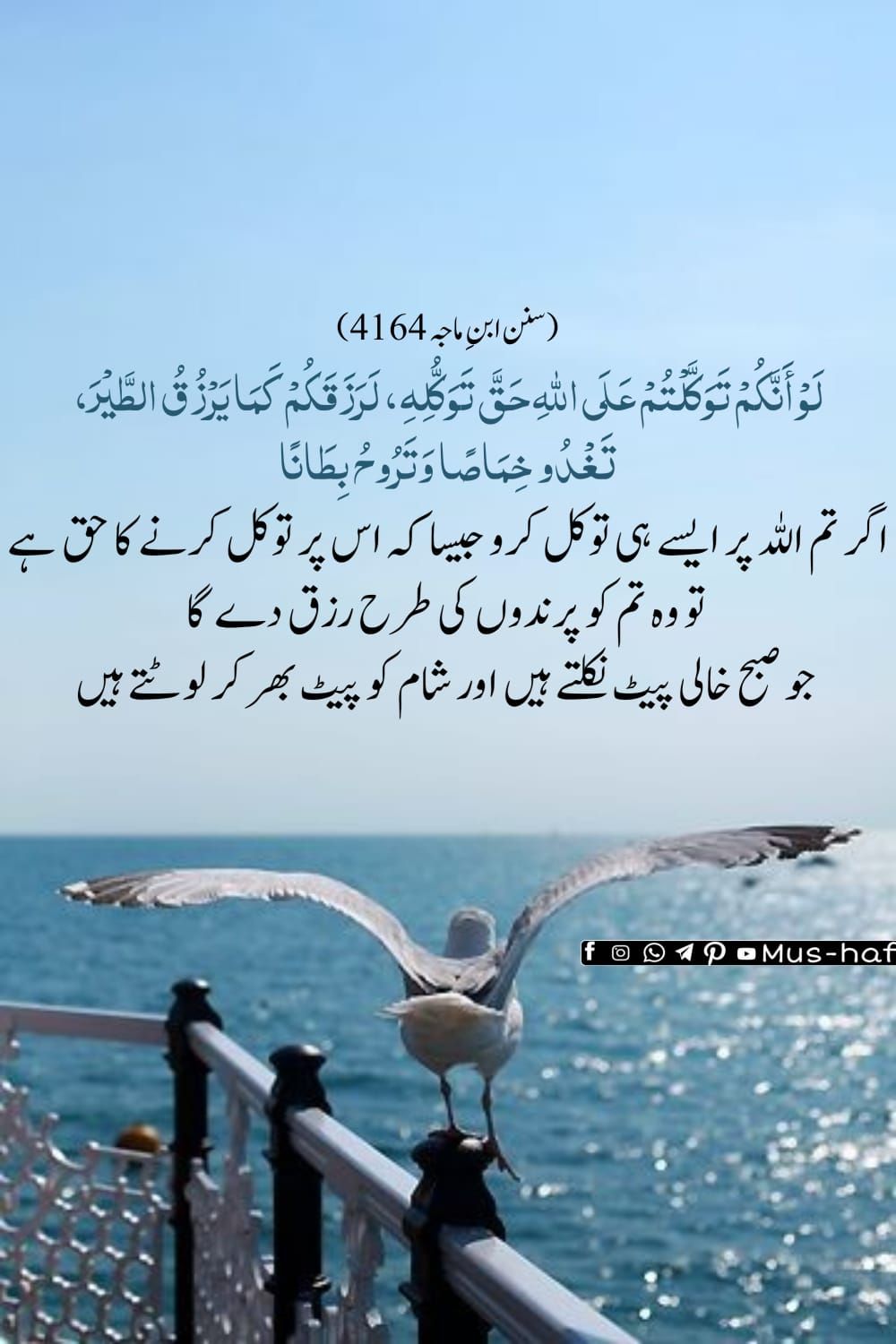 Laiba Sohail on LinkedIn: Beshak Laiba Sohail on LinkedIn: Beshak
