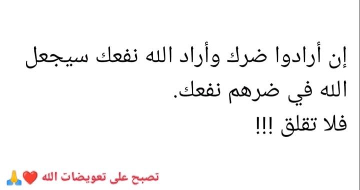 Nourhan Samy posted on LinkedIn Nourhan Samy posted on LinkedIn