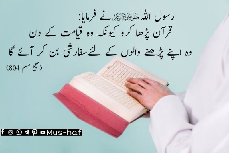 Muhammad Waleed Abid posted on LinkedIn Muhammad Waleed Abid posted on LinkedIn