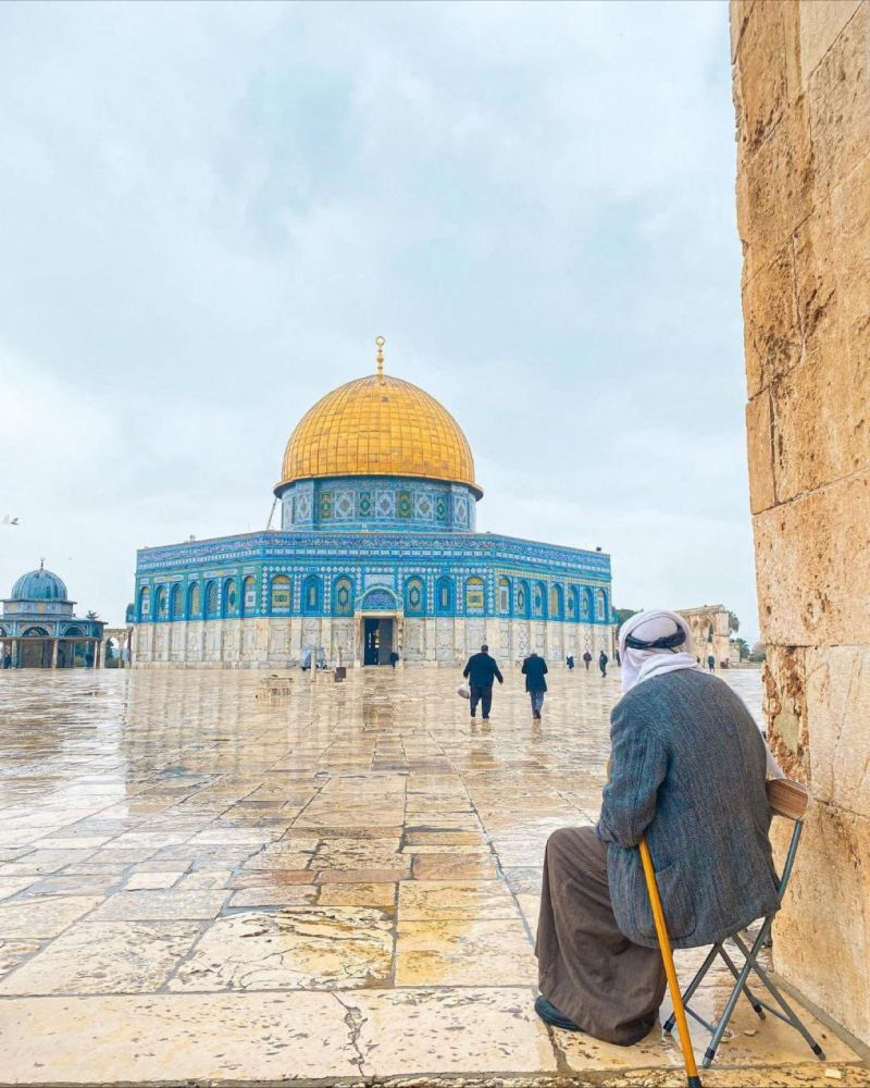 Junaid Ahmed Shah on LinkedIn: #palestine Junaid Ahmed Shah on LinkedIn: #palestine
