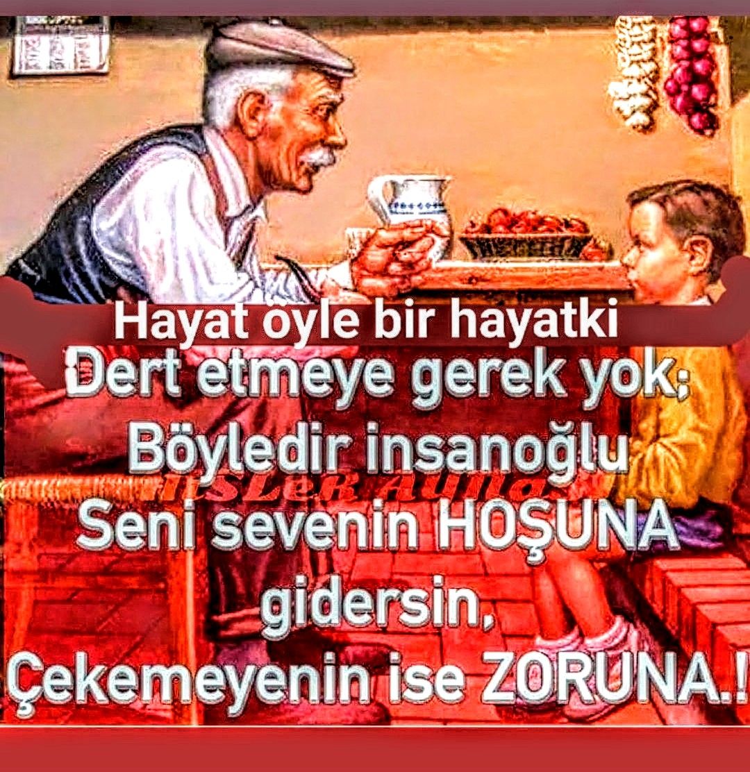 erhan dogan posted on LinkedIn erhan dogan posted on LinkedIn