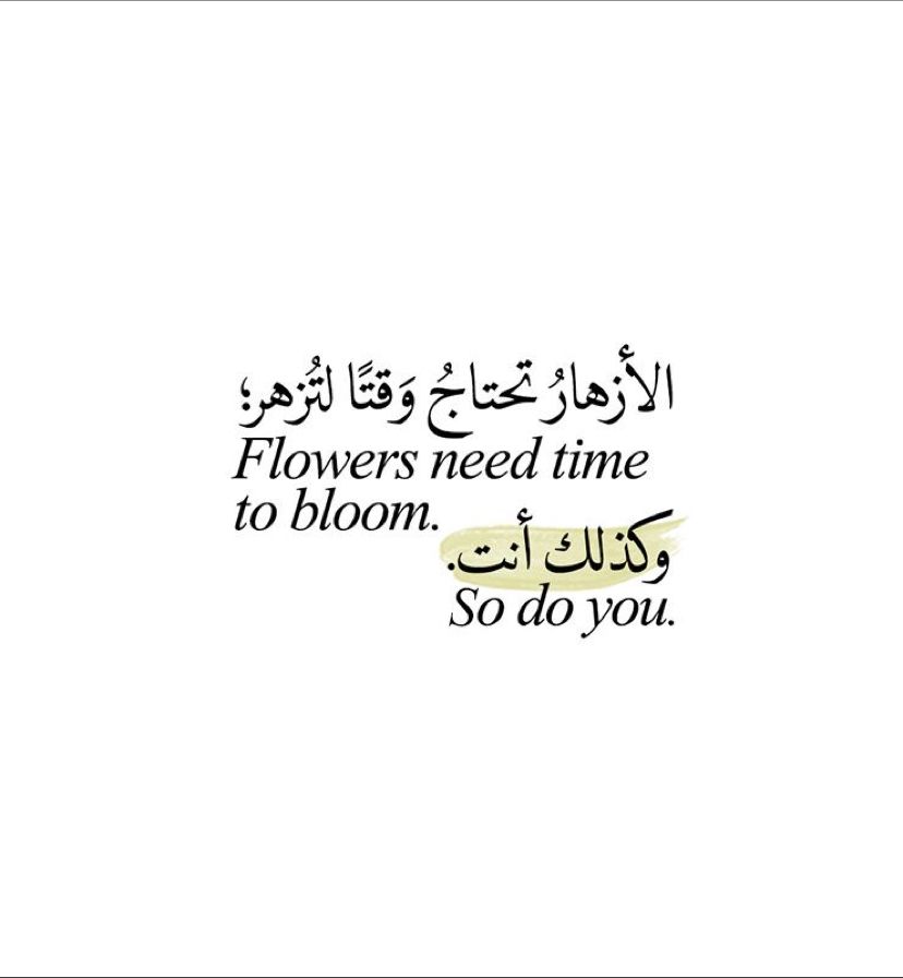 Doaa Ali posted on LinkedIn Doaa Ali posted on LinkedIn
