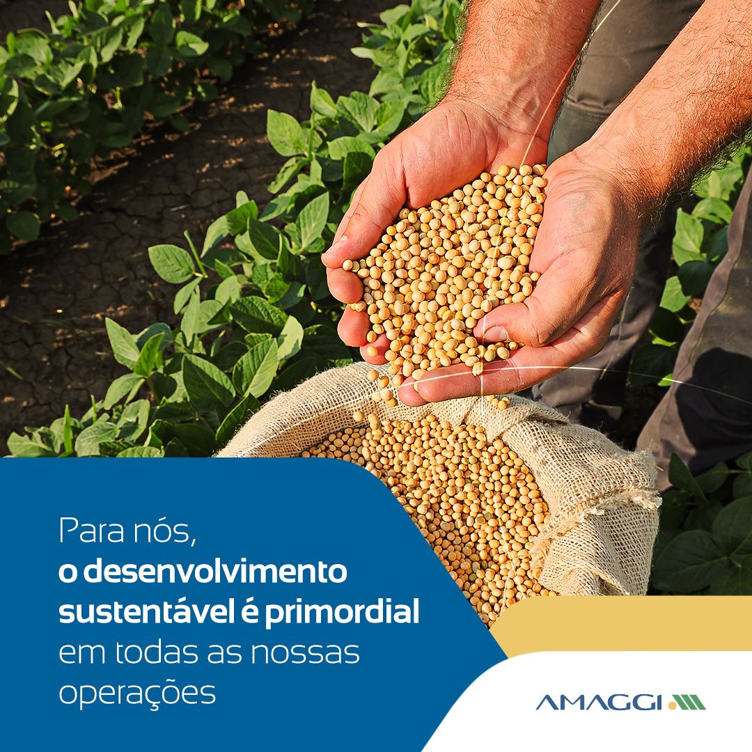 Amaggi LinkedIn‘de: #amaggi #sustentabilidade #agro Amaggi LinkedIn‘de: #amaggi #sustentabilidade #agro