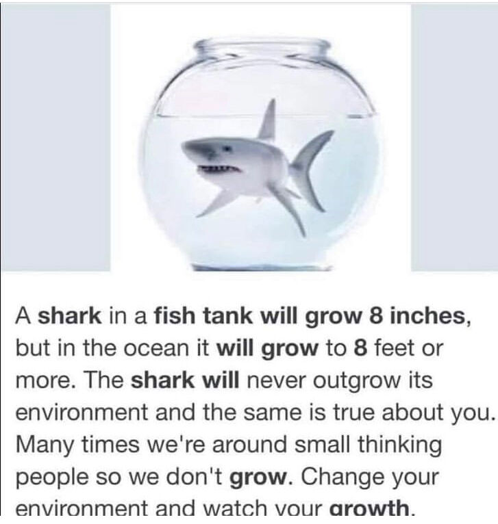 Shweta Bhalla on LinkedIn: Shweta Bhalla on LinkedIn: