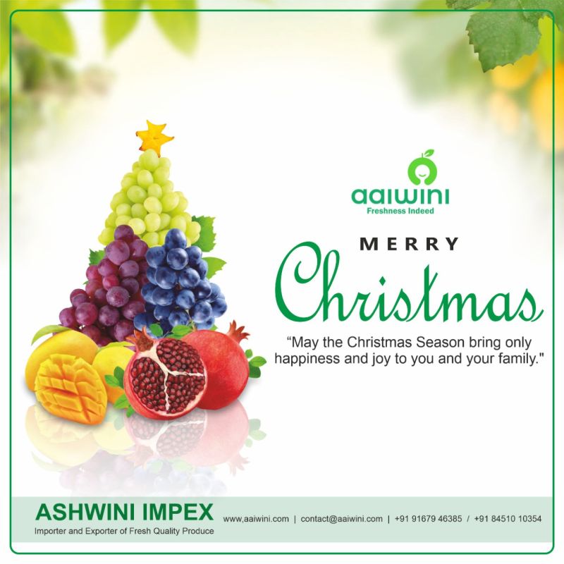 ASHWINI IMPEX on LinkedIn: 🌟🎄 Merry Christmas 🎄🌟 Bhushan Rane Nivedita ... ASHWINI IMPEX on LinkedIn: 🌟🎄 Merry Christmas 🎄🌟 Bhushan Rane Nivedita ...