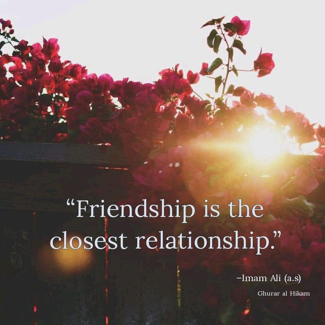 Syed Ali Ameer posted on LinkedIn Syed Ali Ameer posted on LinkedIn