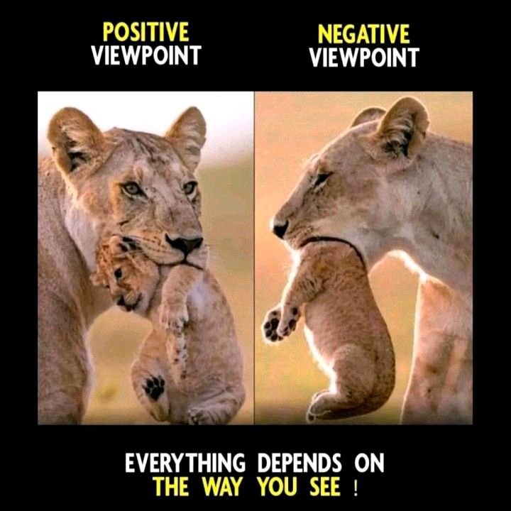 Ayushi Solanki on LinkedIn: everything depends on mindset 👍 Ayushi Solanki on LinkedIn: everything depends on mindset 👍