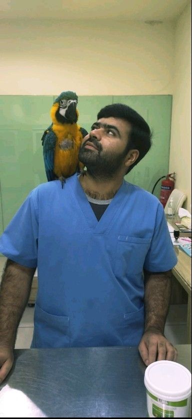 Dr Junaid Javed on LinkedIn: #Vet#Pets Dr Junaid Javed on LinkedIn: #Vet#Pets