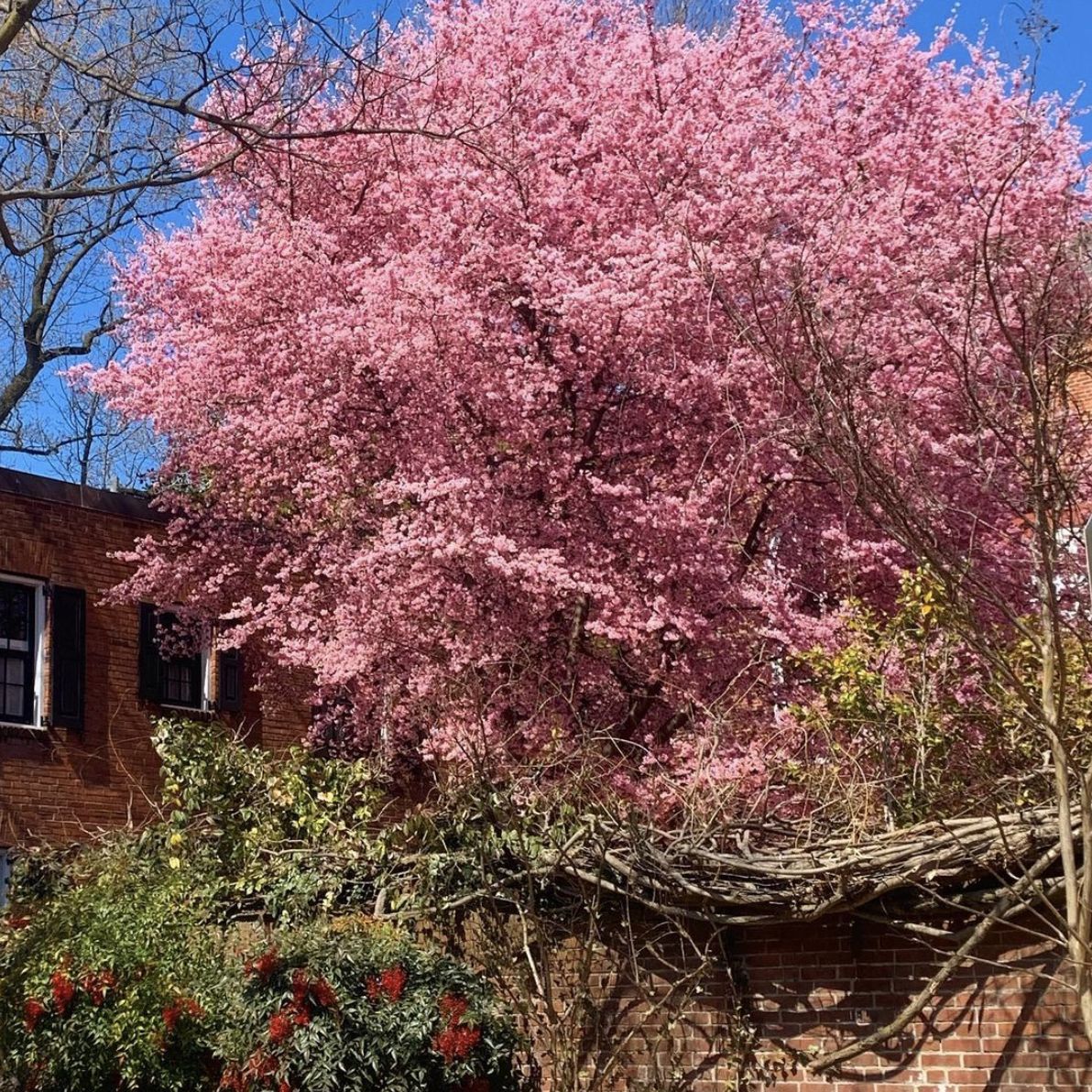 Alchimie Forever on LinkedIn: #happyspring Alchimie Forever on LinkedIn: #happyspring