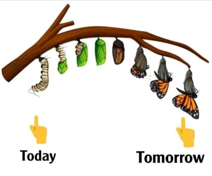 Sidra Tanveer on LinkedIn: #psychologist Sidra Tanveer on LinkedIn: #psychologist