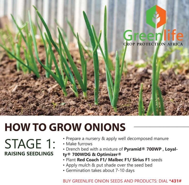 GREENLIFE CROP PROTECTION AFRICA LIMITED on LinkedIn: Red Coach F1 ... GREENLIFE CROP PROTECTION AFRICA LIMITED on LinkedIn: Red Coach F1 ...