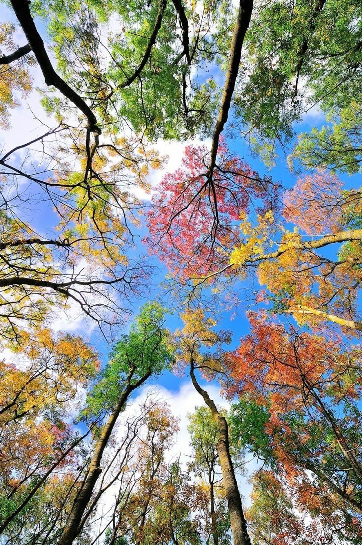 I ️ Colors | Awais Aftab Alvi I ️ Colors | Awais Aftab Alvi